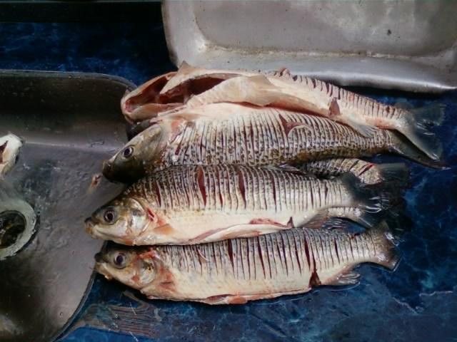 Culinária - Um prato de curimatã