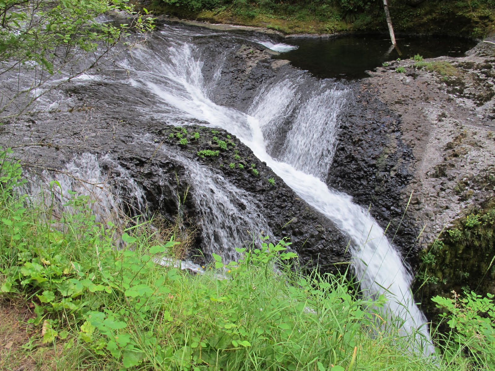 Nelda Mays Photography, Inc.: The Eagle Creek Trail, Oregon