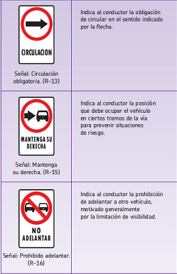 CIENCIA Y AMBIENTE: SEGURIDAD VIAL