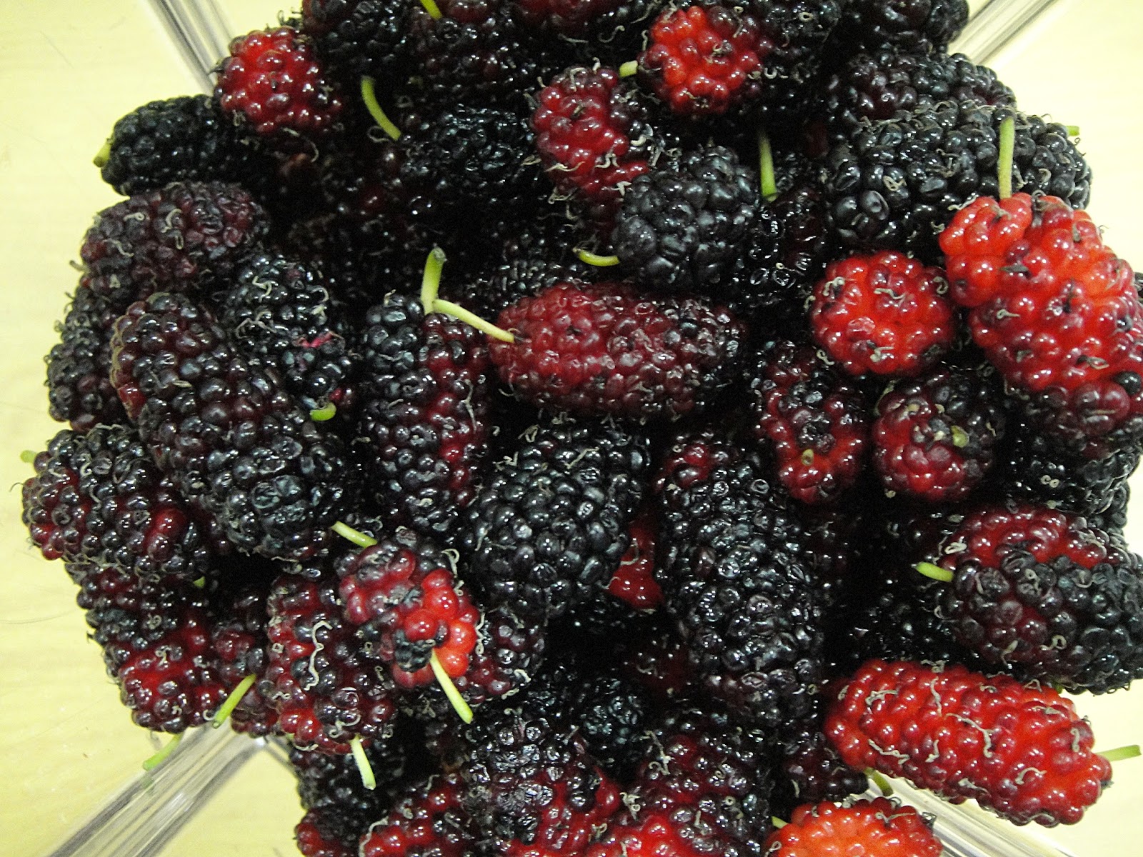 Maryam's Culinary Wonders: 1085. Mulberry Mousse Cake