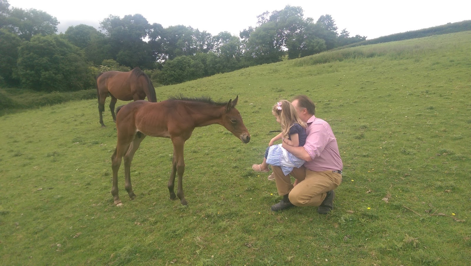 Simon Earle Racing: July 2016