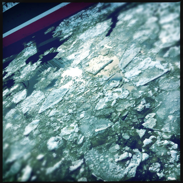 Draußen nur Kännchen!: Eiskalt ...