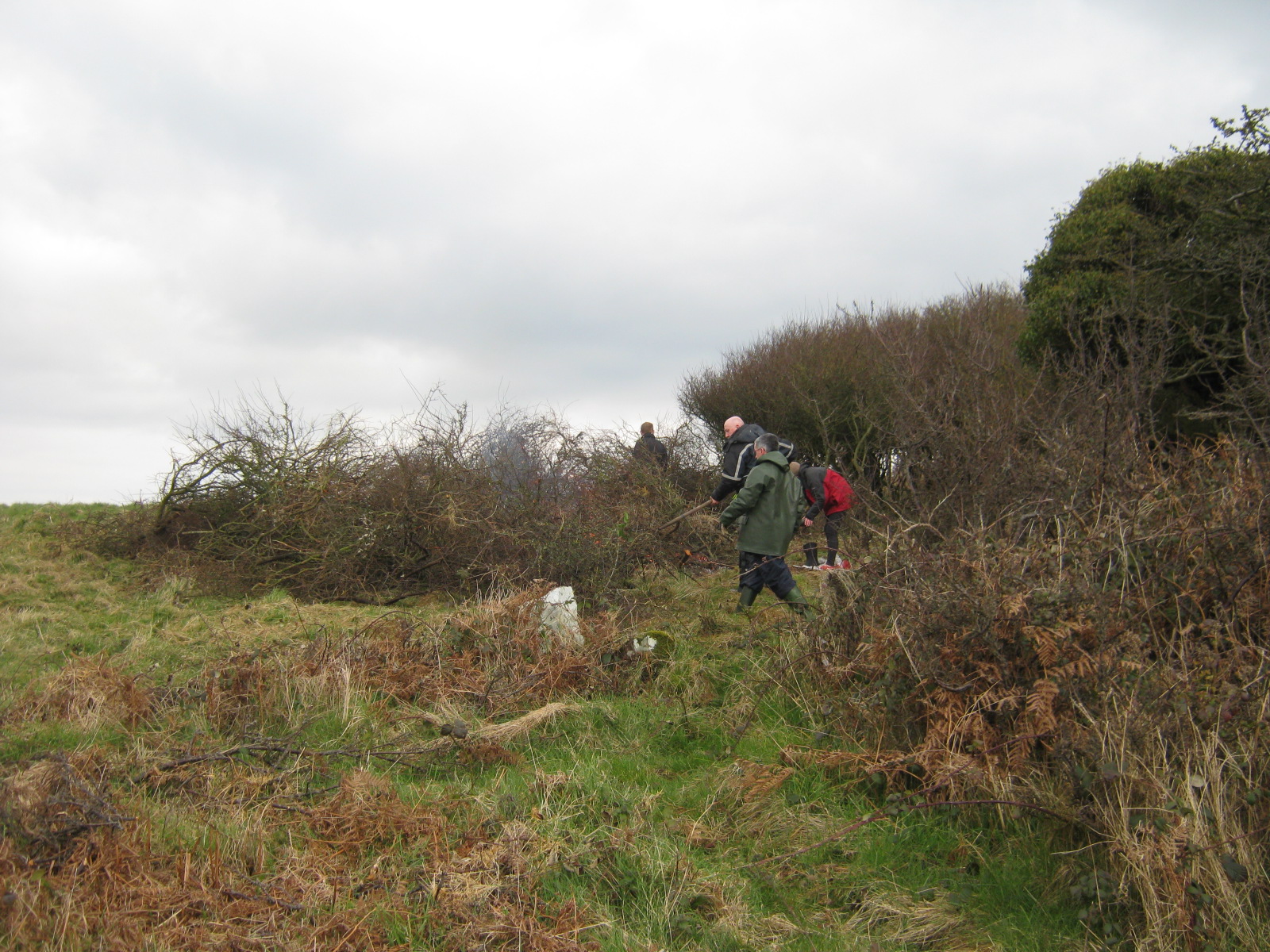 Lord Belmont in Northern Ireland: Darragh Island