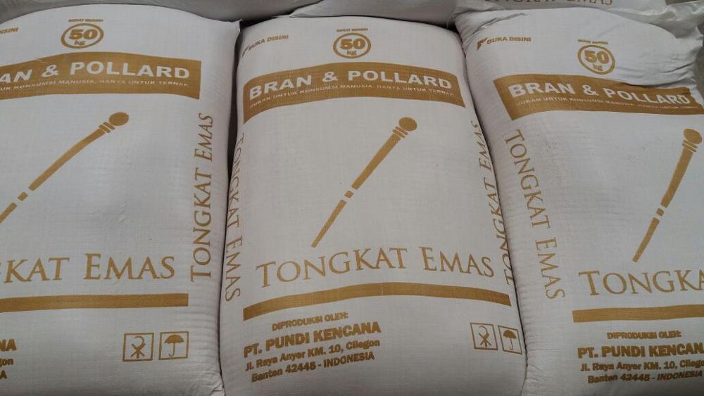 POLLARD: POLLARD: Jual Pollard Untuk Pakan Ternak