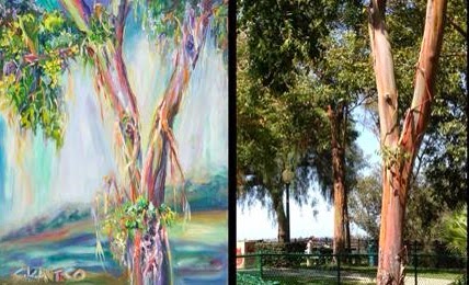 Life In Color: The Colorful World of Tetrachromacy