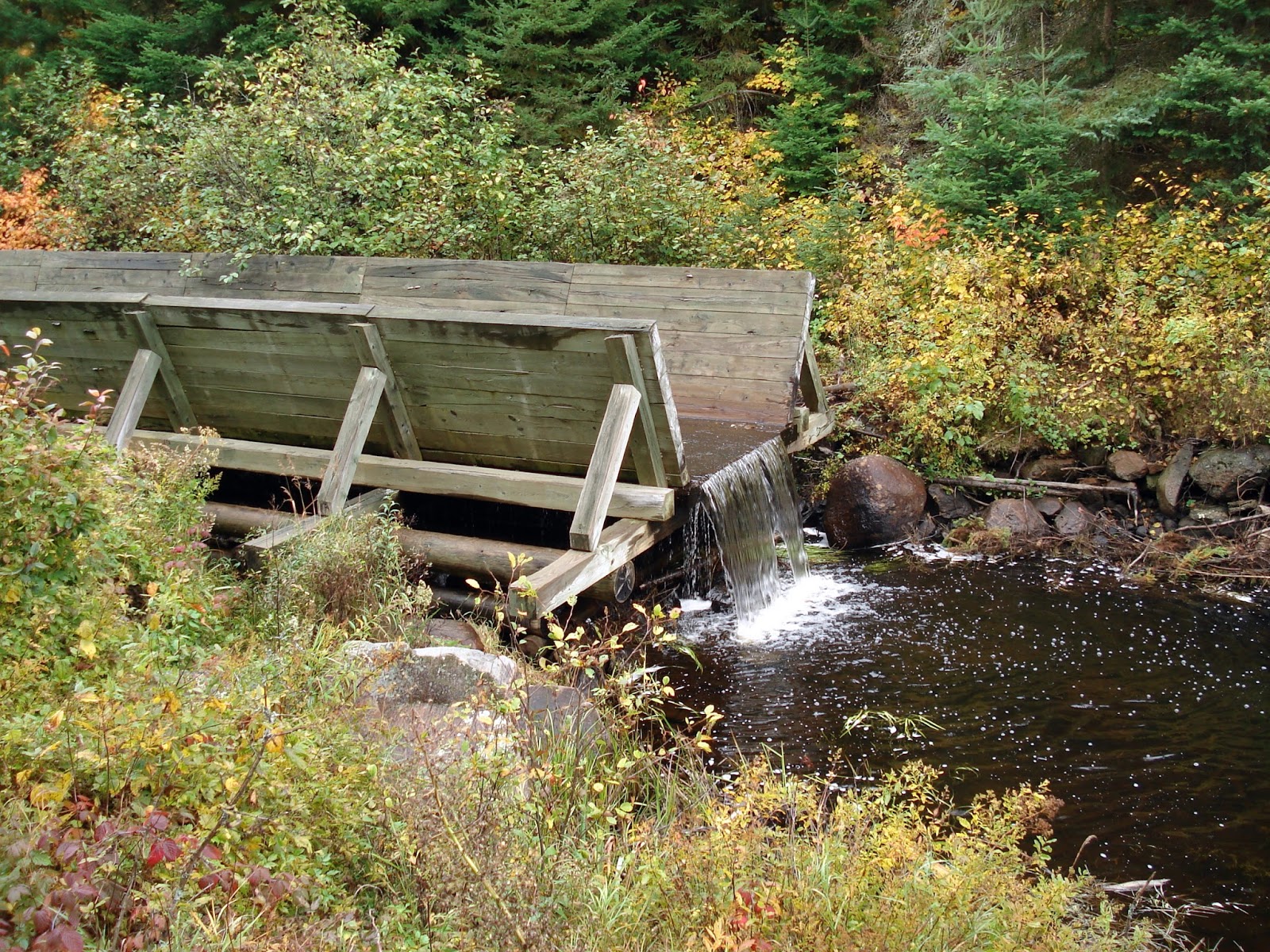 MUSINGS: LUMBERING THROUGH HISTORY: THE ALGONQUIN LOGGING MUSEUM