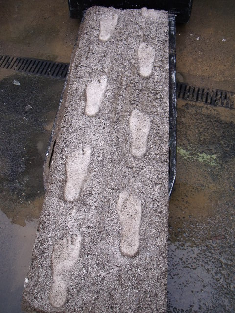 Kate Averell: Footprints Casting