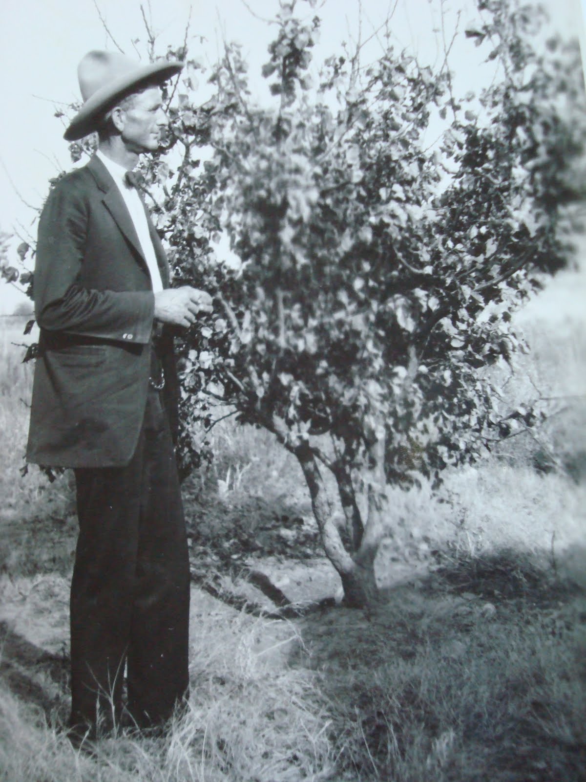 Sumrall Holder Vining