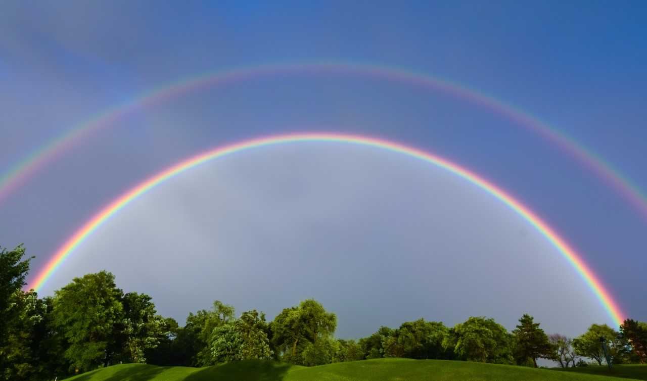 Dreaming of A Rainbow | Little Heart Tiny Wings