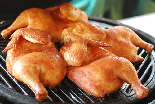 Firebird Chicken aka The Chicken From Hell