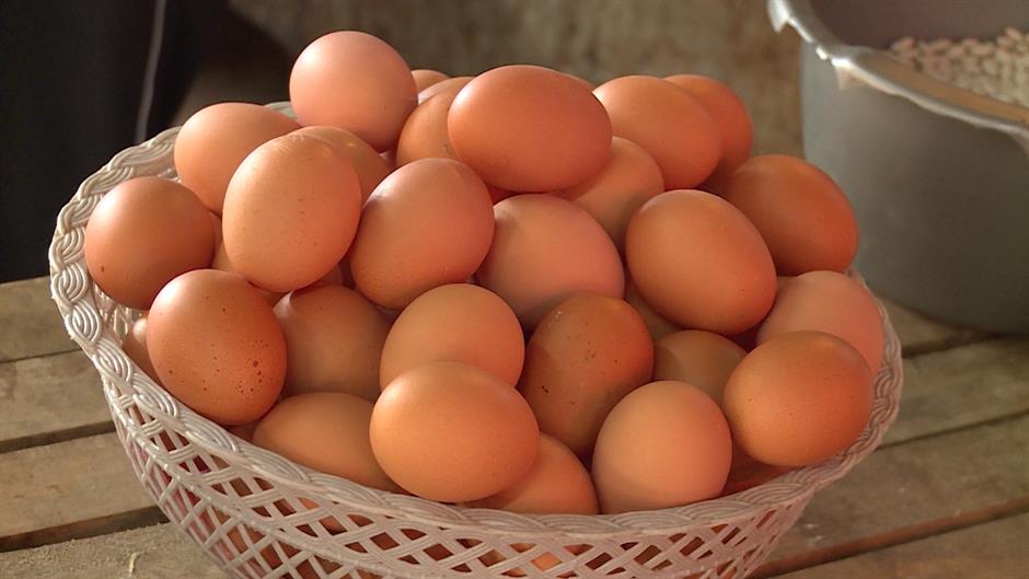 5 razloga zašto treba jesti jaja, a uključuje čak i mršavljenje!