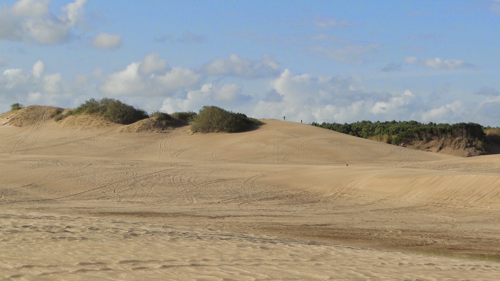 VIDA VIAJERA: El dominio de los médanos