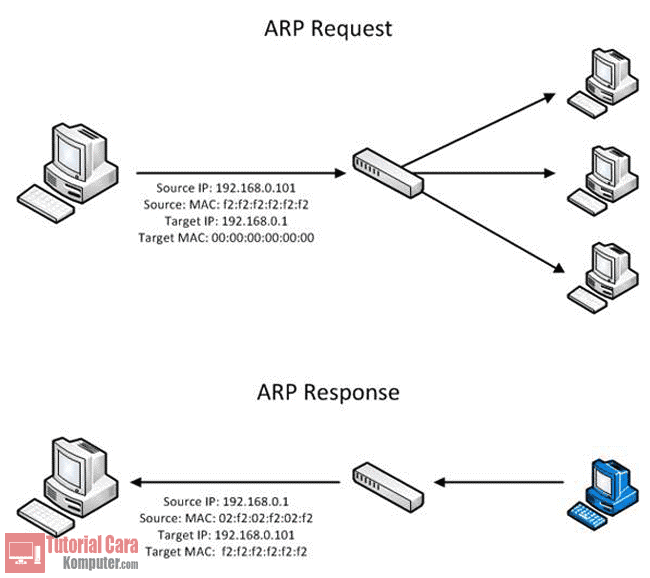 PING , Topologi Jaringan , ARP | Informasi Mengenai IT