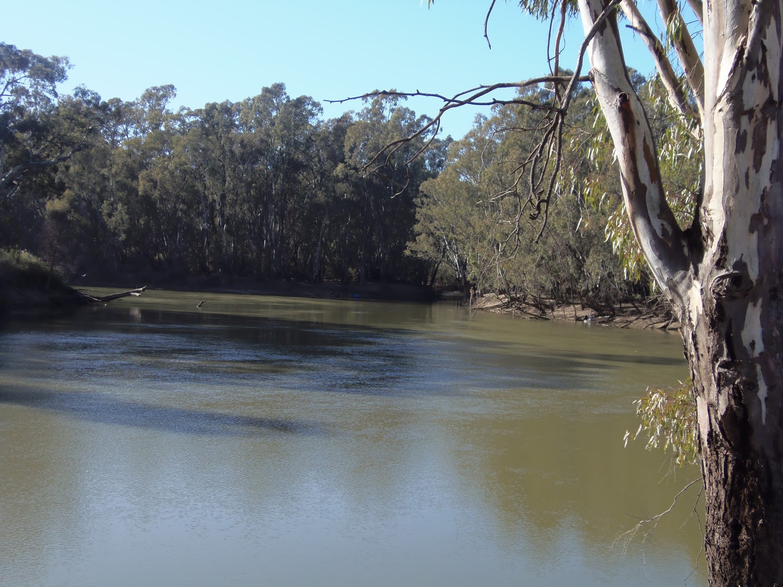 Solo Steve On The Road: THE SISTER TOWNS of KOONDROOK Vic and BARHAM NSW