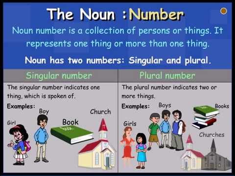 English learning: Noun- Number