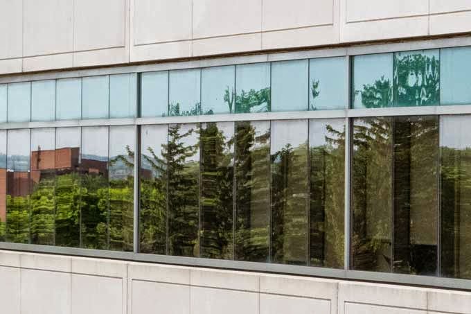 East Gwillimbury CameraGirl: Sixth Floor Windows