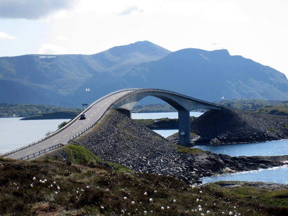 Civil and Architectural Engineering: Nice Bridge!!!