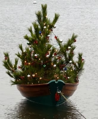 Stunning Views: Floating Christmas Tree