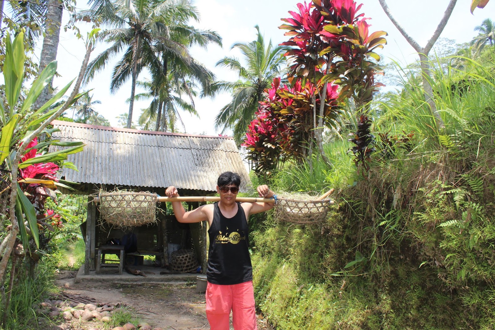 The best place to see rice terraces in Bali, Indonesia - DocDivaTraveller