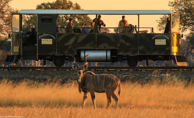 Everything you need to know about the Elephant Express Rail Car ...