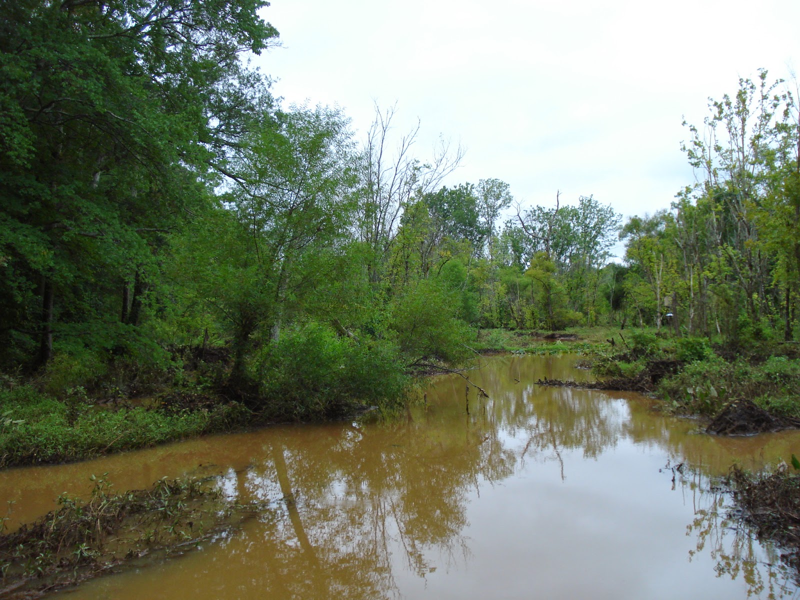 Dead Air: Tales from the Swamp