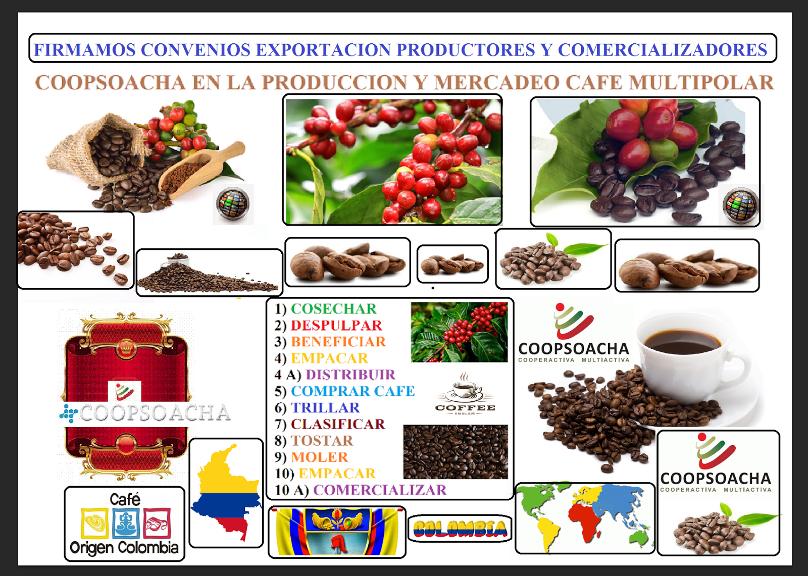 FUNDACION SAJU - FUNDAMIAV - COOPSOACHA - FUNVASACOL EN CONVENIO PRO ...