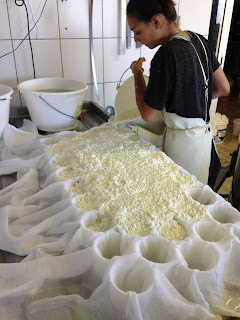 La Laiterie de Paris : La fabrication du chevrotin et du sérac en alpage