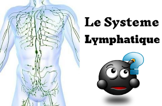 Le Système Lymphatique - Biologie
