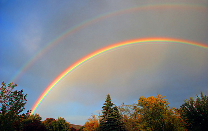 NephiCode: The Universality of Noah’s Flood