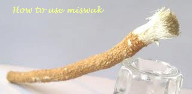 Miswak: How to use miswak