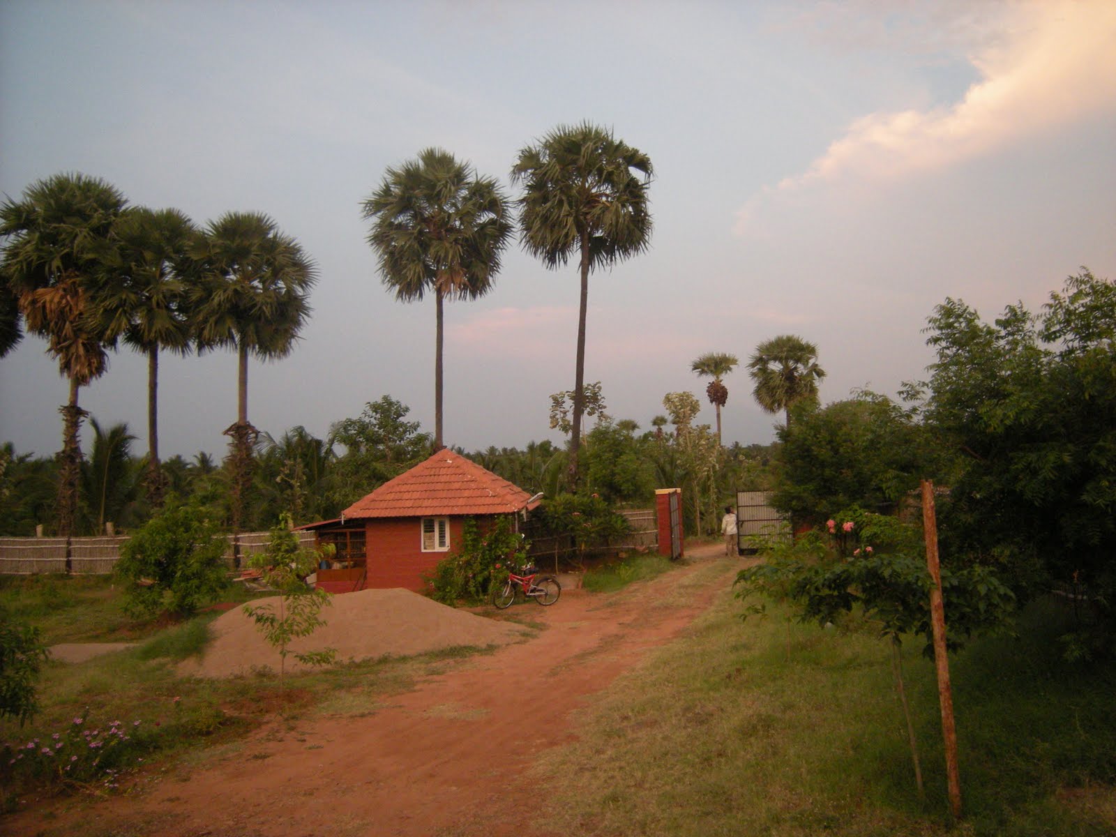 Retirement Journey to India: 23-24 May 2011 - Indira Gandhi Wildlife ...