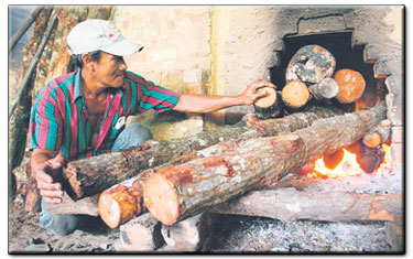 UNIT 14 : KEPENTINGAN TUMBUHAN SEMULAJADI DI MALAYSIA