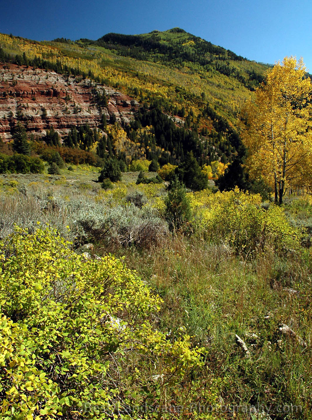 Colorado Wilderness - Hiking and Camping in the Backcountry: The ...