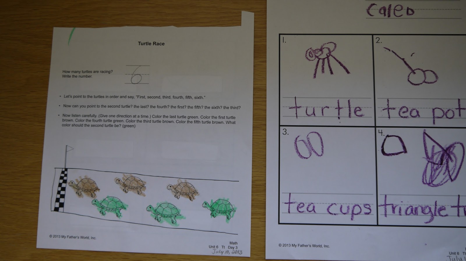 Caleb's Journey: Unit 6: Turtle