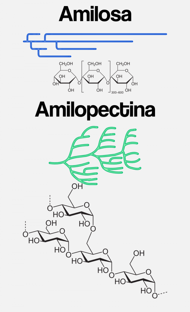 Sepa lo que come: ¿ Qué arroz elegir? Los tipos de Arroz