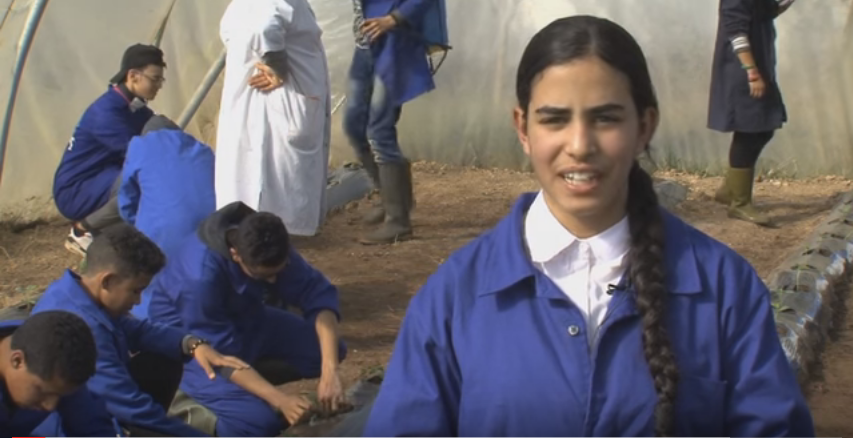 الإعلام والمساعدة على التوجيه لتلاميذ مدينة الداخلة