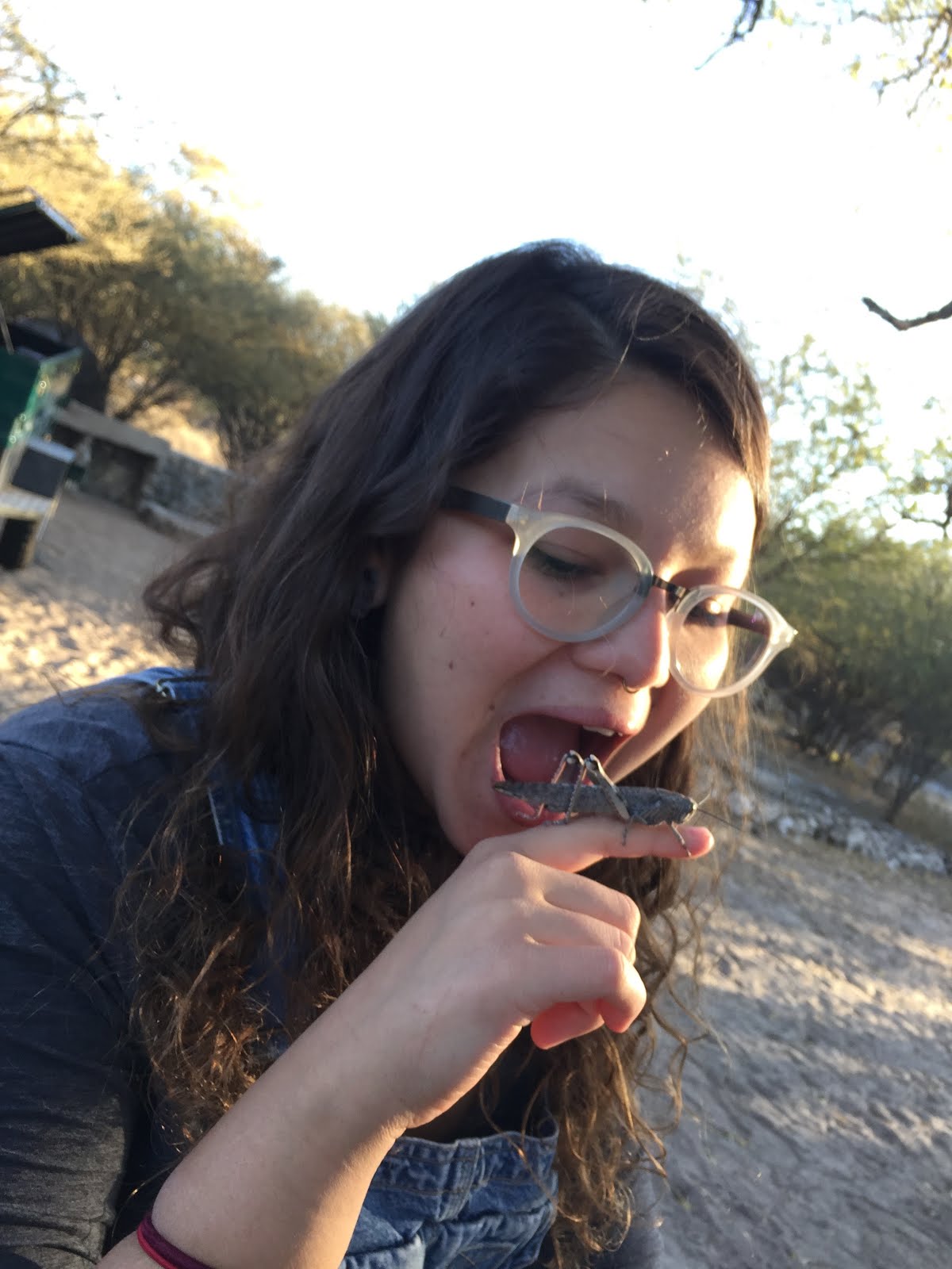 Study Abroad, Botswana: 2018