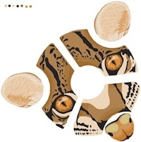 Ubuntu 11.10 "Oneiric Ocelot": 11 Great Features You Can Expect to Find ...