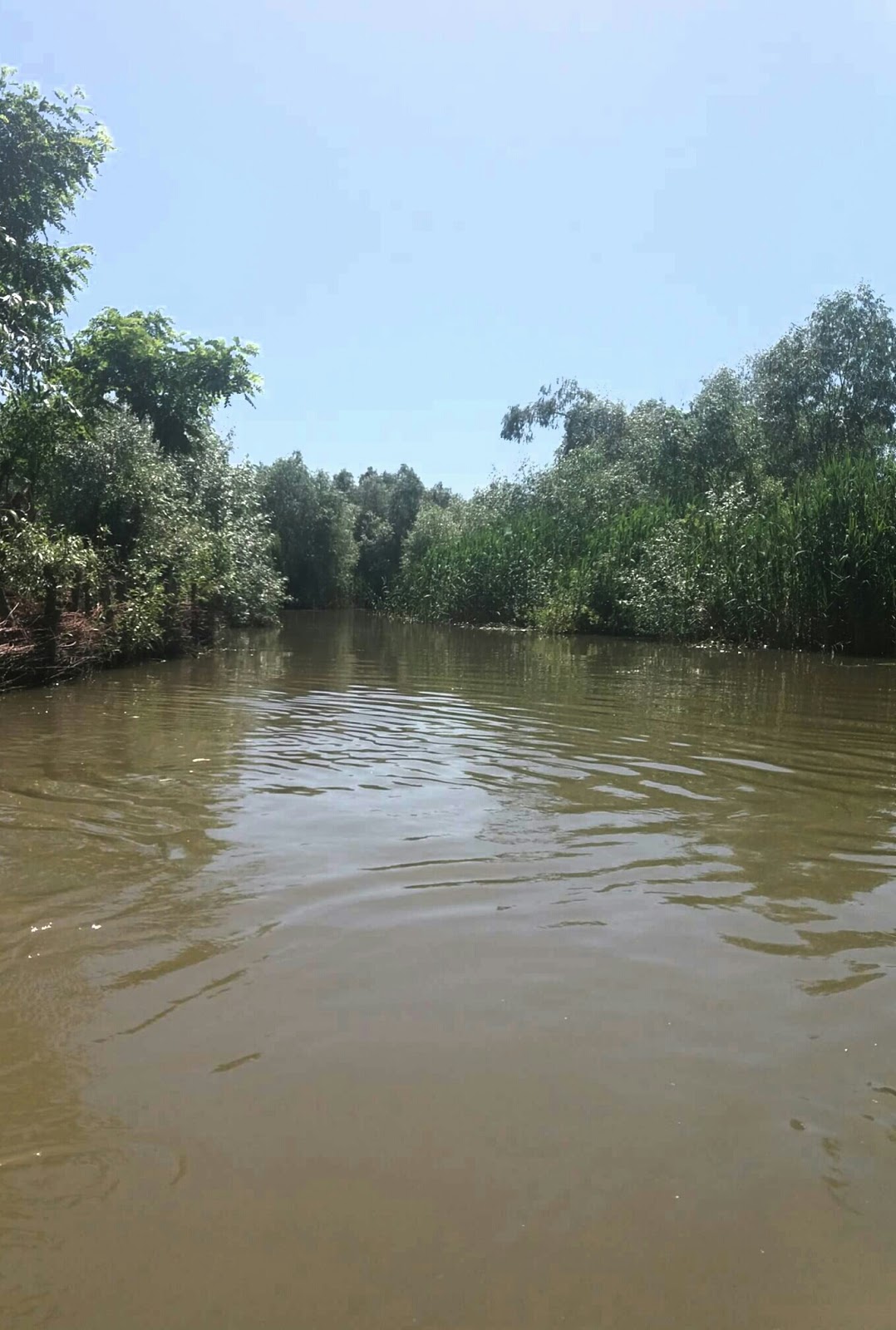 Dunavatu de Jos, vechi sat pescaresc din Delta Dunarii: Cateva poze din ...