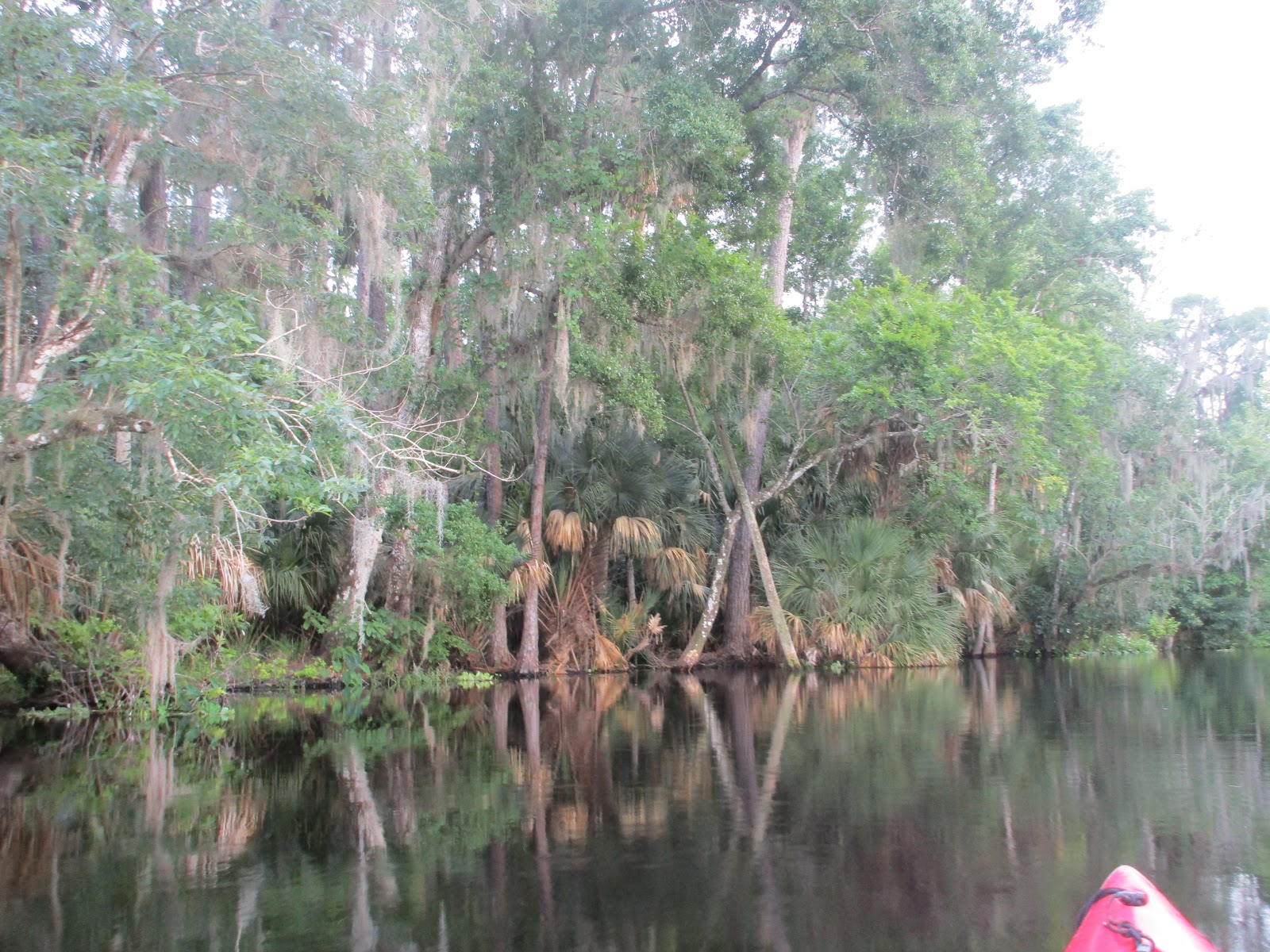 Dave's Yak Tales: Wekiva River