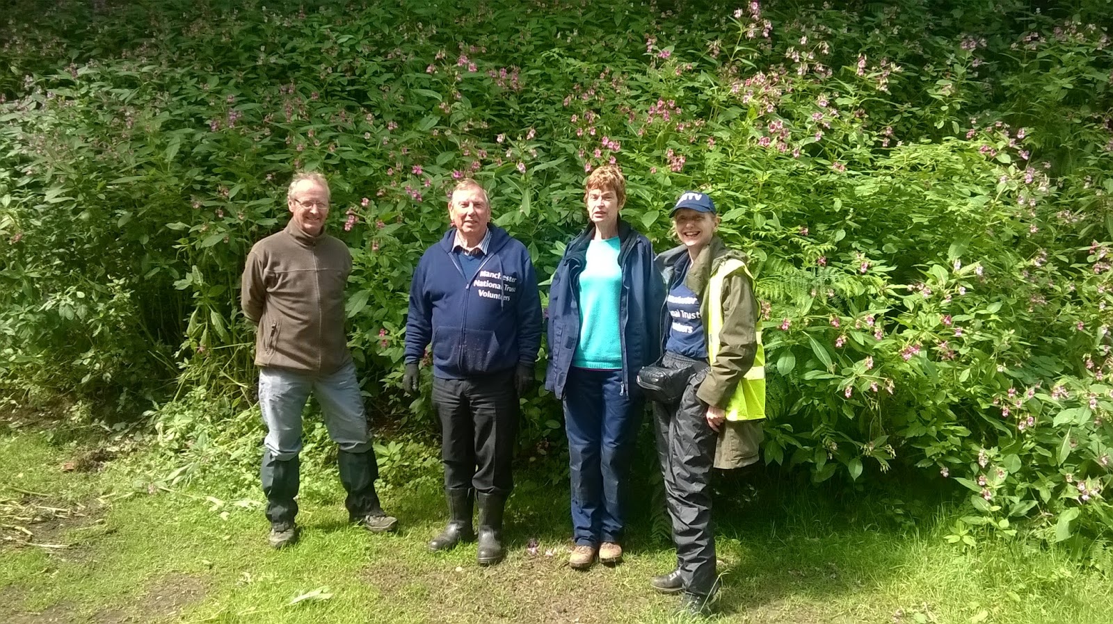 Manchester National Trust Volunteers (MNTV) activities: Himalayan ...