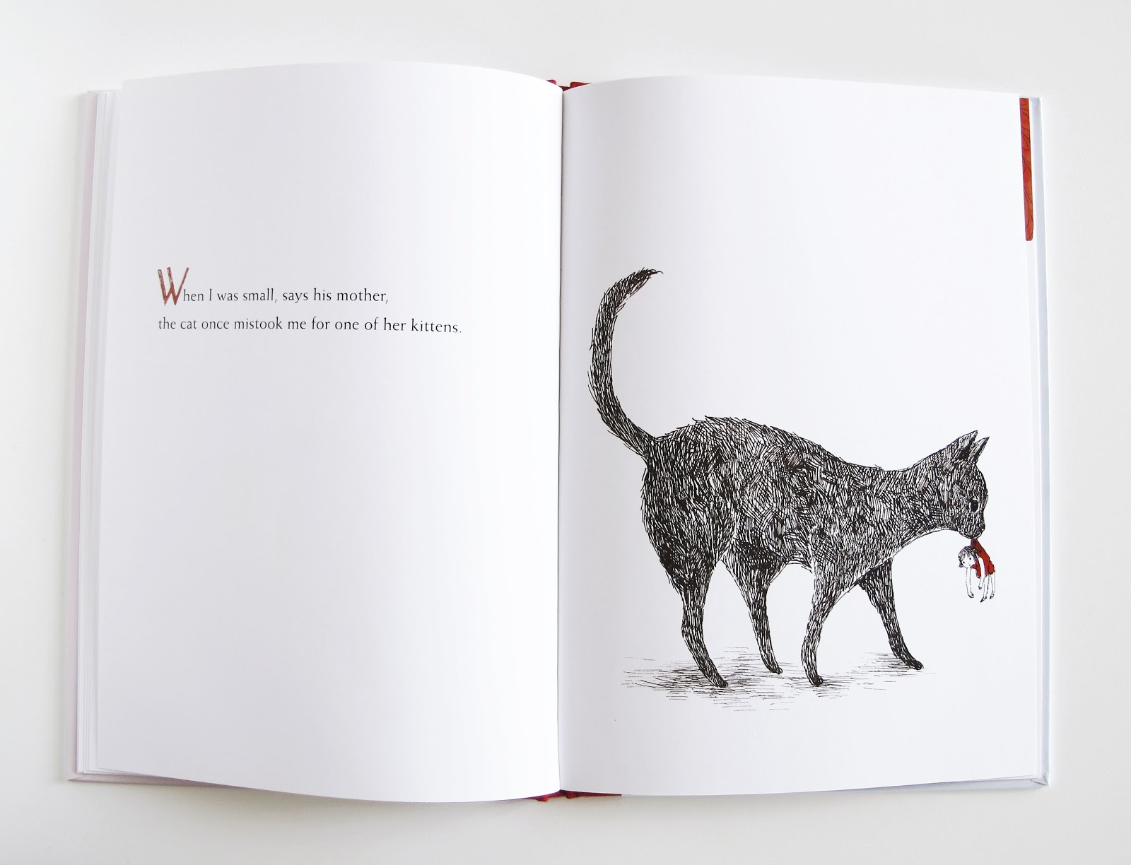 L'Aeroplano di Biscotto: children books