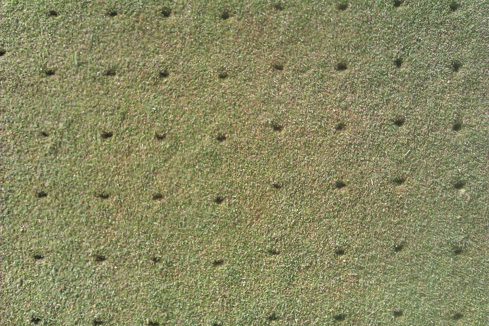 Malton and Norton Golf Club Greens Department: Solid tining