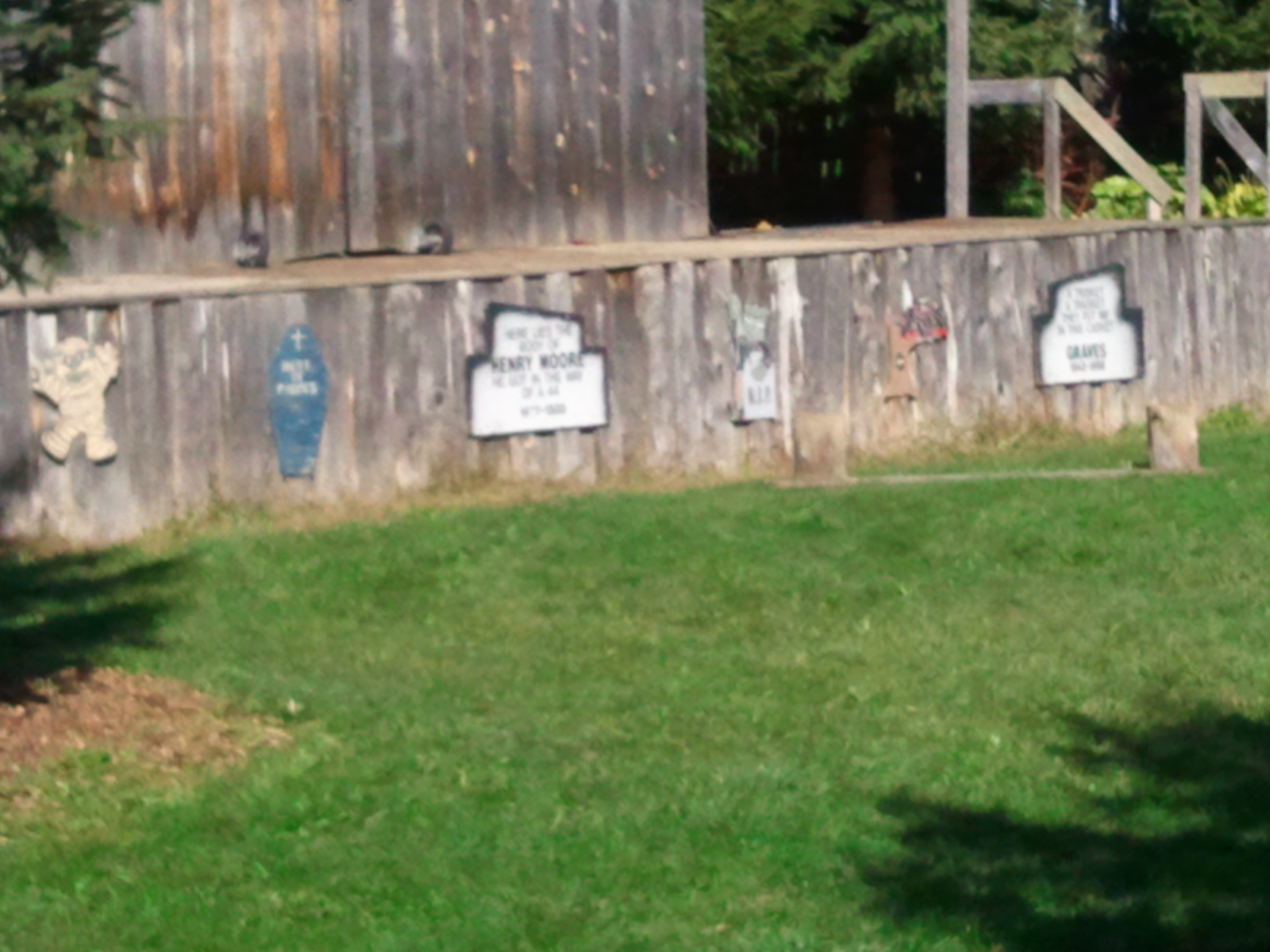 sparklingexpressions: Beautiful day at Cannamore Orchard