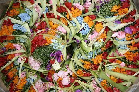 MAKNA UPAKARA CANANG SARI DAN UPARENGGA KELABANG MANTRI