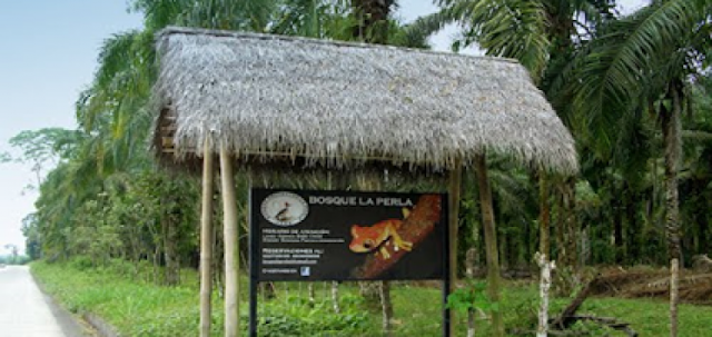 Bosque Protector La Perla