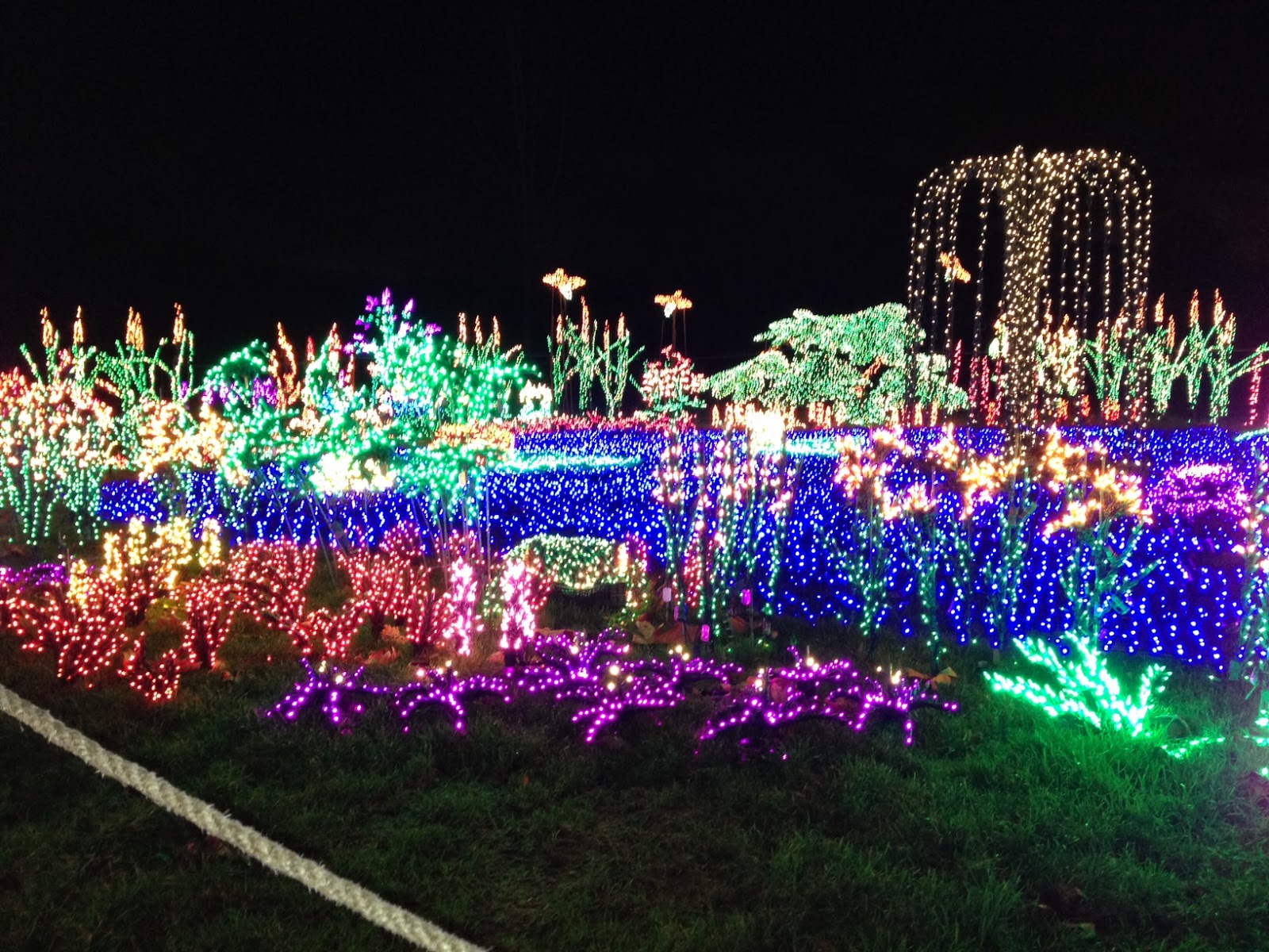 Western Washington Families : Garden D'Lights at the Bellevue Botanical ...