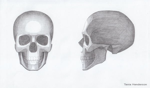 Draw Speak: Shaded Skull