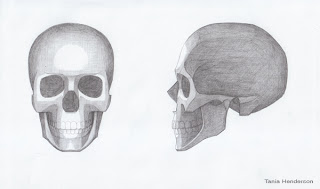 Draw Speak: Shaded Skull