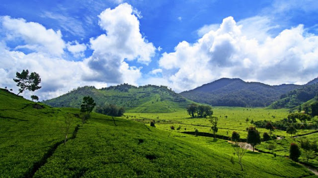 Profil Pangalengan Bandung Selatan